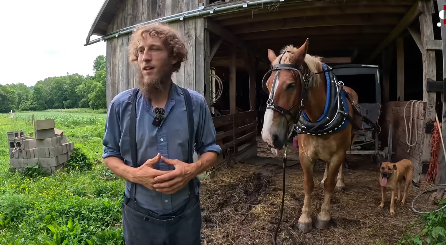 The Inspiring Journey of Titus Morris - Living Off the Grid in Appalachia | Alex Exum